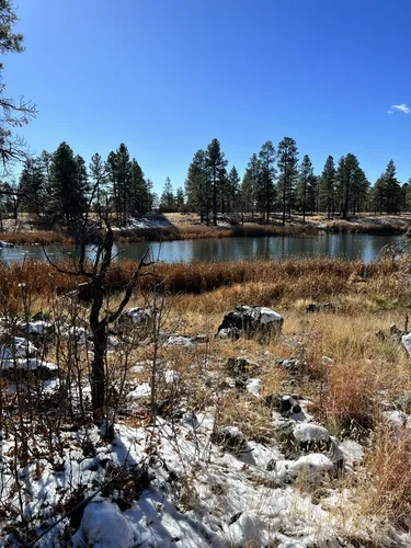 Best Lake Trails in Pinetop-Lakeside | AllTrails