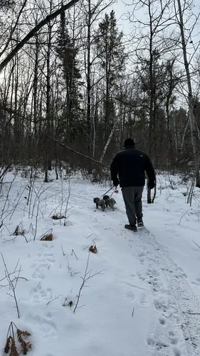 Best Hikes and Trails in Grand Beach Provincial Park | AllTrails