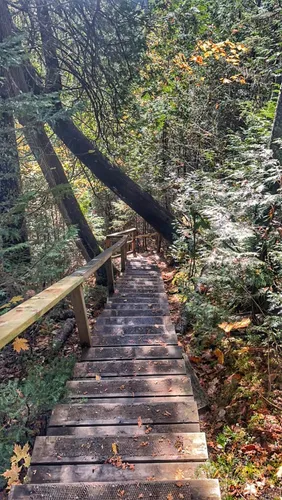 Best Waterfall Trails in Matapedia | AllTrails