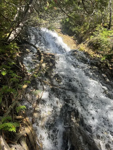 Best Waterfall Trails in Matapedia | AllTrails