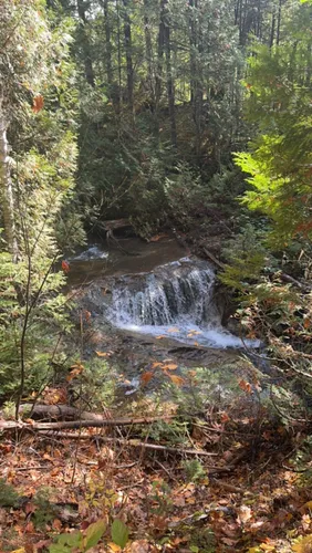 Best Waterfall Trails in Matapedia | AllTrails