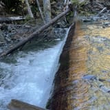 Irely Lake Trail to Big Creek Trail, Washington - 35 Reviews, Map ...