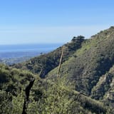Cold Spring Loop, California - 1,943 Reviews, Map | AllTrails