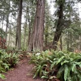 Ridge Loop Trail , Washington - 403 Reviews, Map | AllTrails