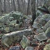 Pulpit Rock, The Pinnacle, and Blue Rocks Loop, Pennsylvania - 593 ...