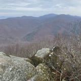 The Pinnacle and Flat Top Mountain, Virginia - 558 Reviews, Map | AllTrails
