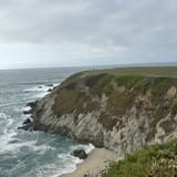 Bodega Head Trail, California - 1,620 Reviews, Map | AllTrails