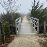Cape May Point Trail, New Jersey - 826 Reviews, Map | AllTrails