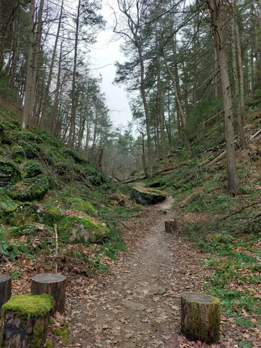 Best Hikes and Trails in Stockbridge | AllTrails