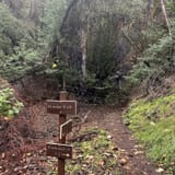 Phantom Falls Trail, California - 3,241 Reviews, Map | AllTrails