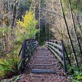 Mima Falls Loop, Washington - 1,410 Reviews, Map | AllTrails