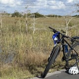 Shark Valley Tram Trail, Florida - 844 Reviews, Map | AllTrails