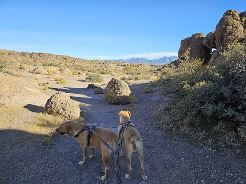 Best Hikes and Trails in Cerbat Foothills Recreation Area | AllTrails