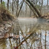 Cedar Ridge Trail Loop, North Carolina - 660 Reviews, Map | AllTrails