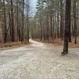 Cedar Ridge Trail Loop, North Carolina - 660 Reviews, Map | AllTrails
