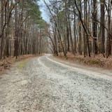 Cedar Ridge Trail Loop, North Carolina - 660 Reviews, Map | AllTrails
