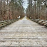 Cedar Ridge Trail Loop, North Carolina - 660 Reviews, Map | AllTrails