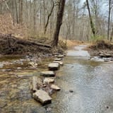 Cedar Ridge Trail Loop, North Carolina - 660 Reviews, Map | AllTrails