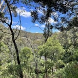 Goldfields Track, Victoria, Australia - 83 Reviews, Map | AllTrails