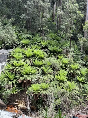 Best Hikes and Trails in Rubicon Valley Historic and Cultural Features ...