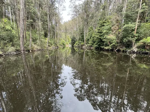 Best Hikes and Trails in Rubicon Valley Historic and Cultural Features ...