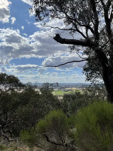Best Camping Trails in Heathcote Graytown National Park | AllTrails