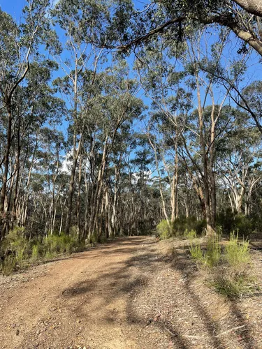 Best Camping Trails in Heathcote Graytown National Park | AllTrails