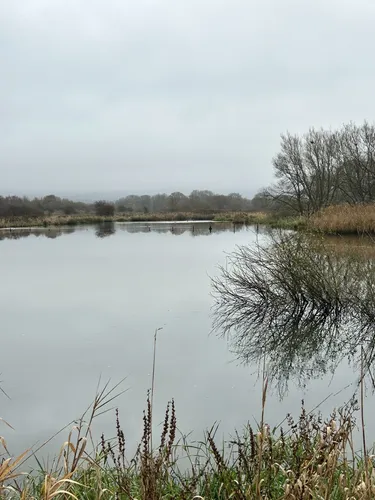 Best Hikes and Trails in Nutfield Marsh Nature Reserve | AllTrails