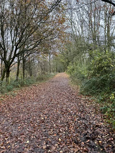 Best Hikes and Trails in Nutfield Marsh Nature Reserve | AllTrails