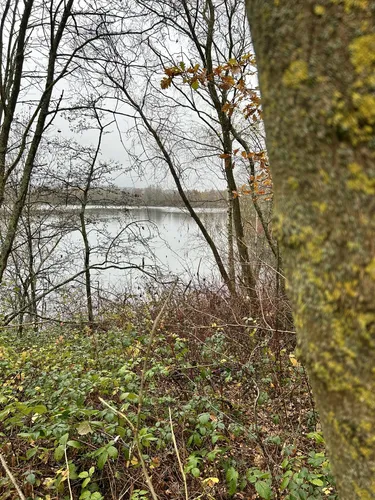 Best Hikes and Trails in Nutfield Marsh Nature Reserve | AllTrails