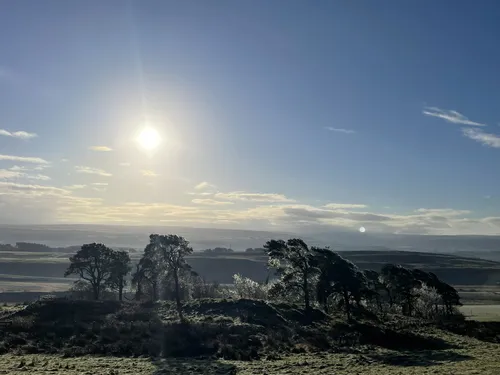 Best Bird Watching Trails in Solway Coast National Landscape (AONB ...