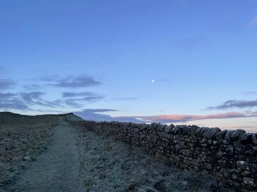 Best Bird Watching Trails in Solway Coast National Landscape (AONB ...