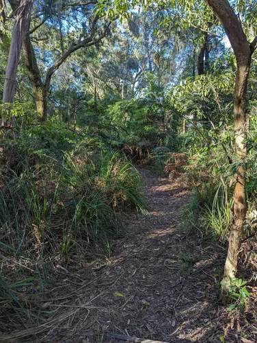Best Hikes and Trails in Whipstick Gully Natural Features Reserve ...