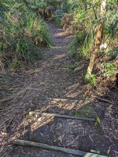 Best Hikes and Trails in Whipstick Gully Natural Features Reserve ...