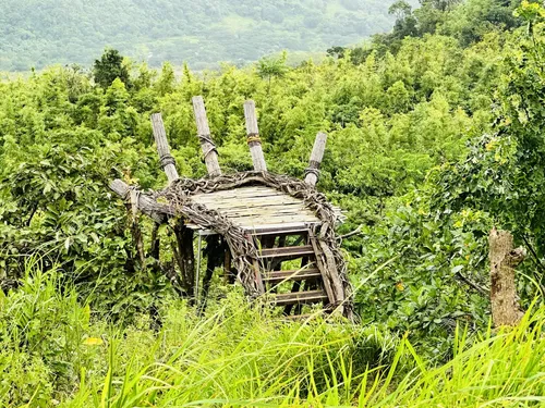 10 Best Trails and Hikes in Tanay | AllTrails