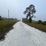 Conner Preserve Western Loop, Florida - 108 Reviews, Map | AllTrails