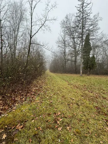 Best Hikes and Trails in Morris Woods State Park | AllTrails
