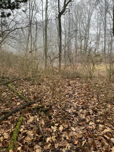 Best Hikes and Trails in Morris Woods State Park | AllTrails