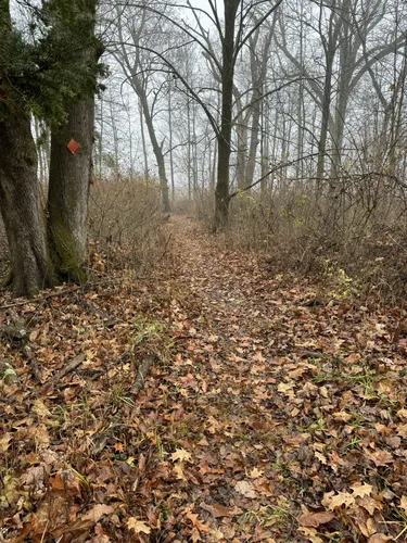 Best Hikes and Trails in Morris Woods State Park | AllTrails
