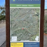 Salt Creek Trail, California - 748 Reviews, Map | AllTrails