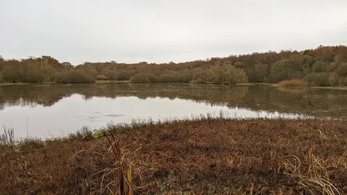 Best Hikes and Trails in Ashtead Common National Nature Reserve | AllTrails