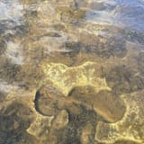 Gator Hook Trail, Florida - 193 Reviews, Map | AllTrails