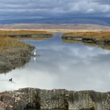 Alviso Slough Trail, California - 873 Reviews, Map | AllTrails