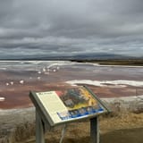 Alviso Slough Trail, California - 873 Reviews, Map | AllTrails