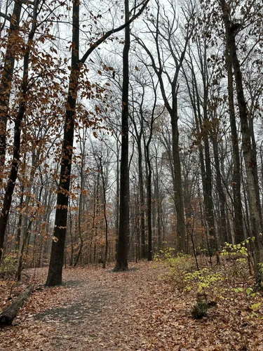 Best Hikes and Trails in Daniels Run Park | AllTrails