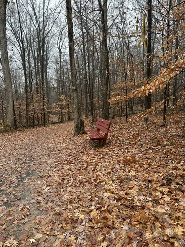 Best Hikes and Trails in Daniels Run Park | AllTrails