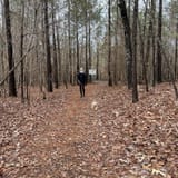 Settles Bridge Park Extended Loop Trail, Georgia - 1,572 Reviews, Map ...
