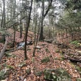 Eagle's Nest via Sand Spring and Tom Lowe Trails Loop, Pennsylvania ...