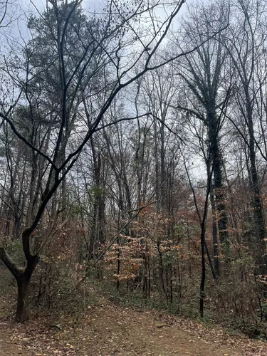Best Hikes and Trails in Hickory | AllTrails