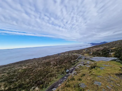 Best Hikes and Trails in Mangerton | AllTrails